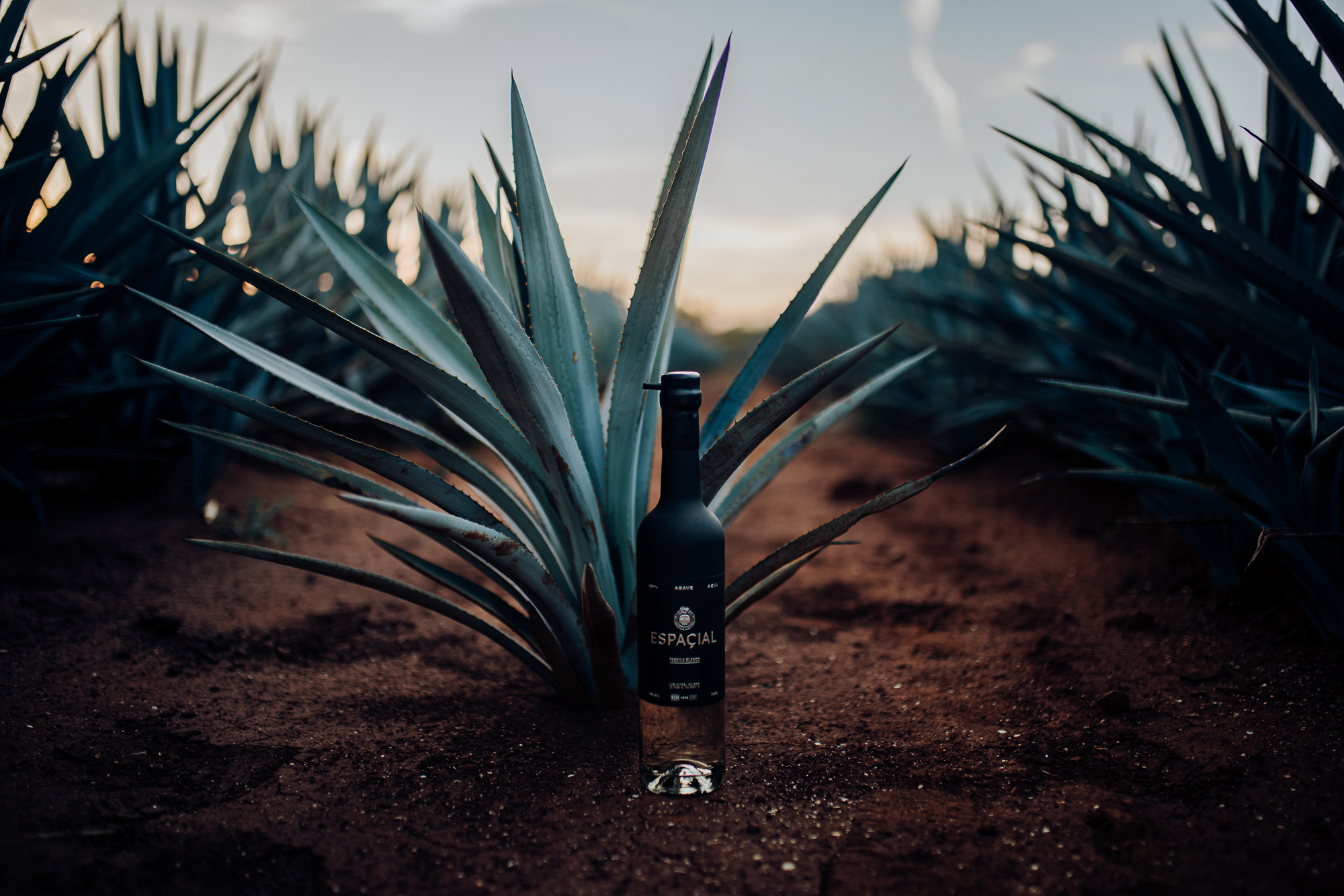 Tequila Espacial – MADE IN JALISCO